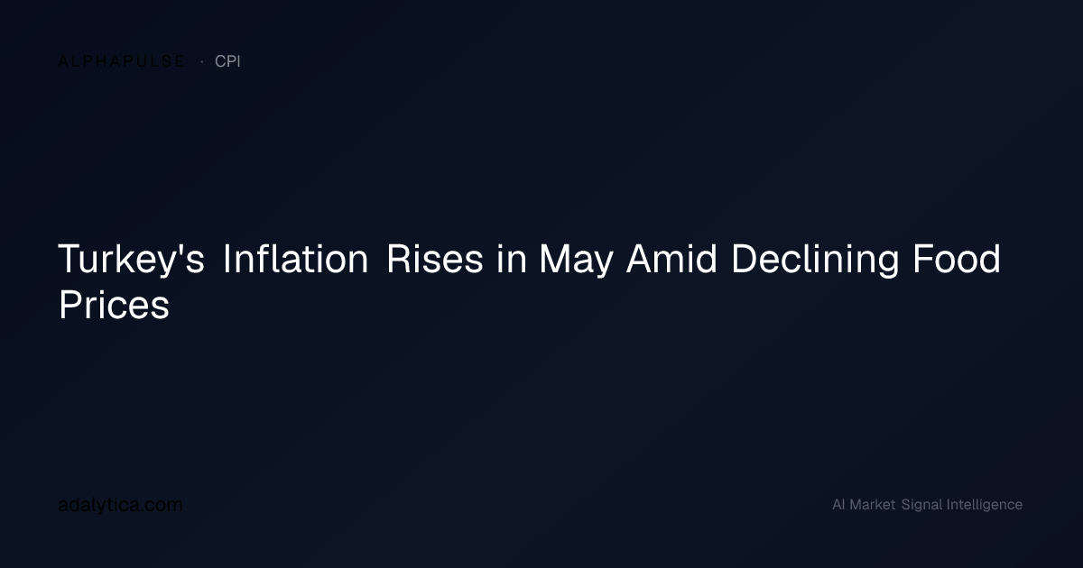 Turkey's Inflation Rises in May Amid Declining Food Prices | CPI Pulse ...